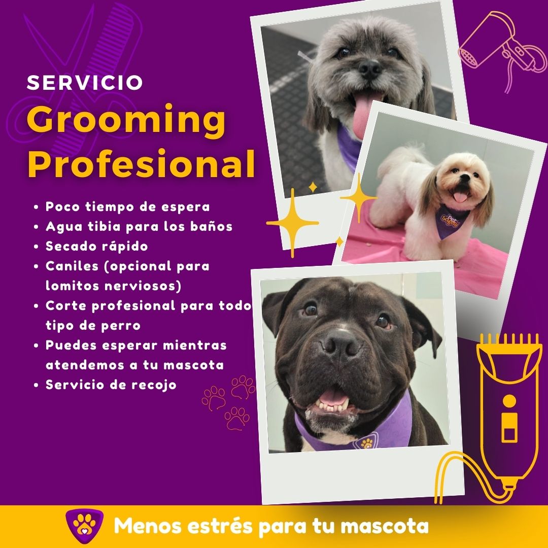 Grooming Profesional - Pet Safety